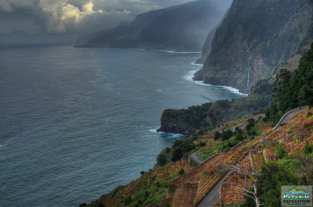 The Amazing West: Madeira North Coast & Laurisilva Forest Scenic Tour ...