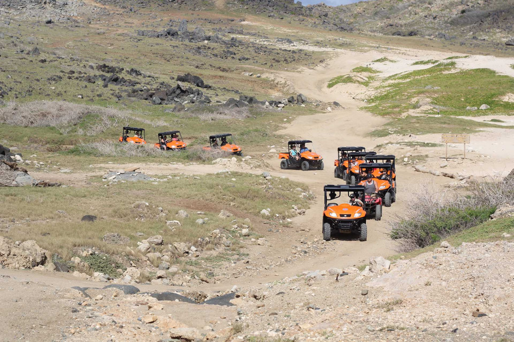 Aruba UTV Rentals - Half Day (4 Hours) - Noord | Project Expedition