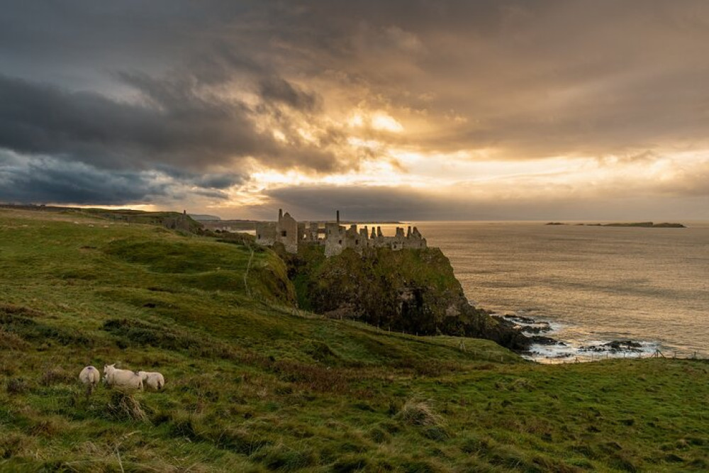 Belfast Shore Tour 2026 Giant's Causeway and Atlantic Coast - Belfast ...