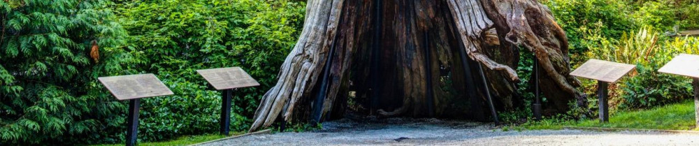Explore Stanley Park: Private 2-Hour Tour in Vancouver - Vancouver ...