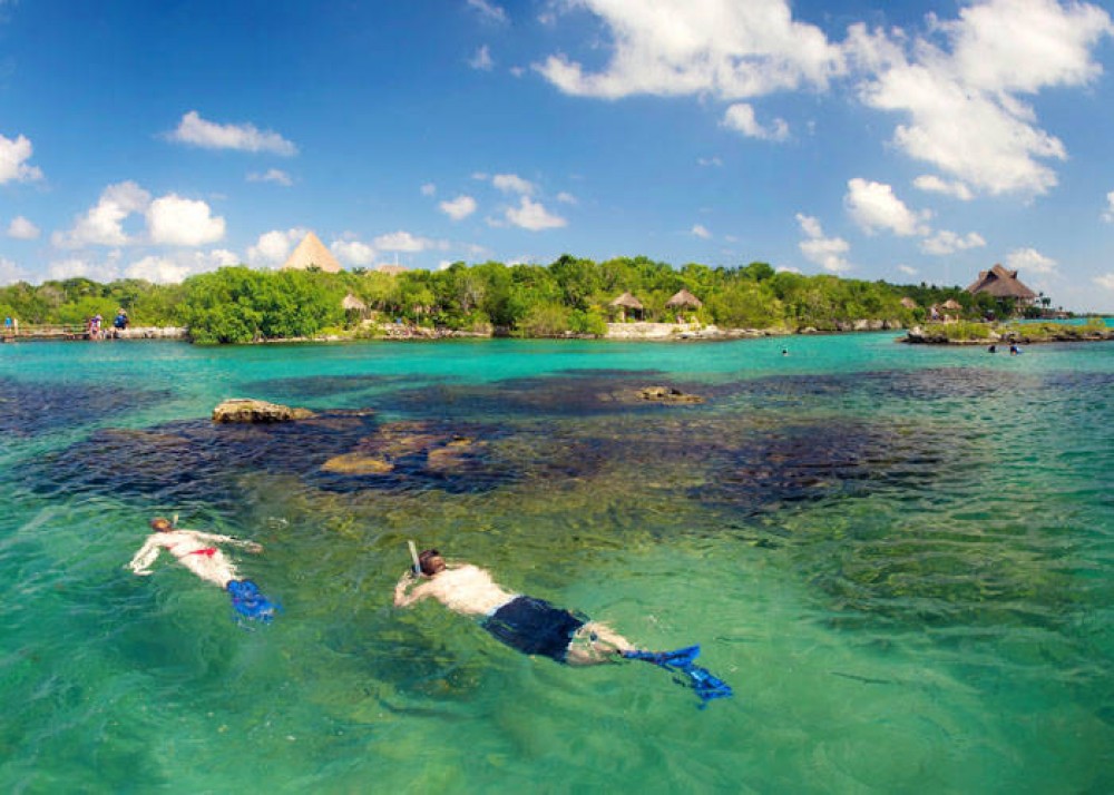 Xel Há Delphinus: Dolphinclusive Primax - Tulum | Project Expedition