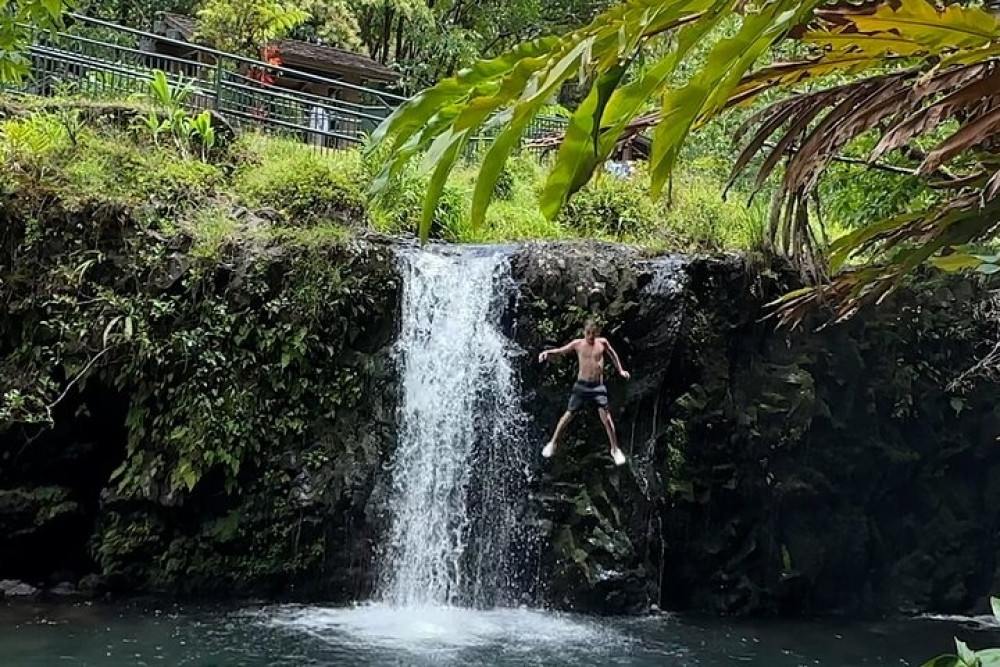 Sea Turtles & Waterfalls: Full-Day Road to Hana Guided Tour with Lunch ...