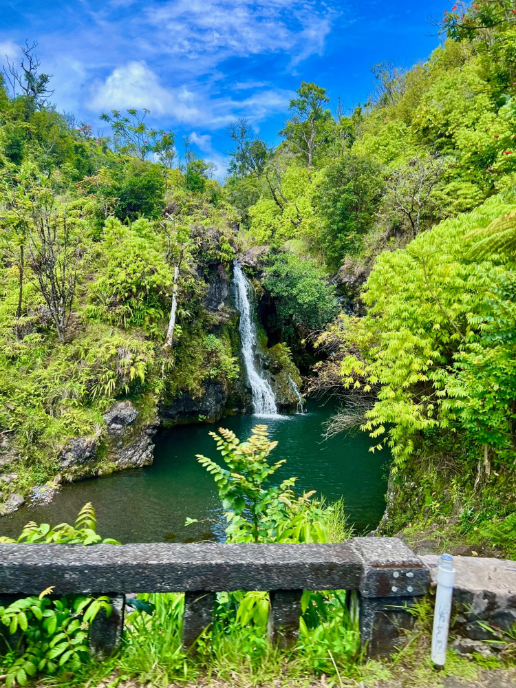 Maui's Sea Turtles & Waterfalls: Taste of Hana Guided Tour - Lahaina ...