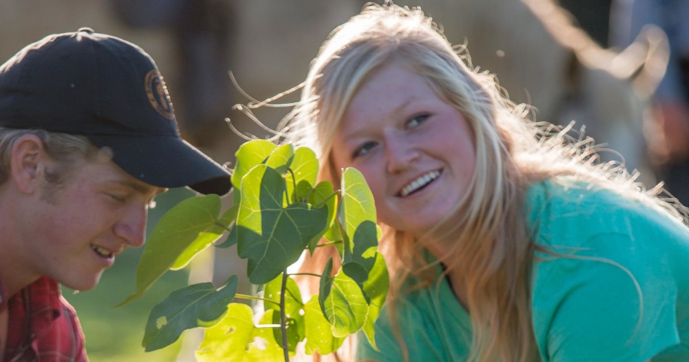 Private Off-Road Legacy Tree Planting Tour (2 hours) - Honolulu ...