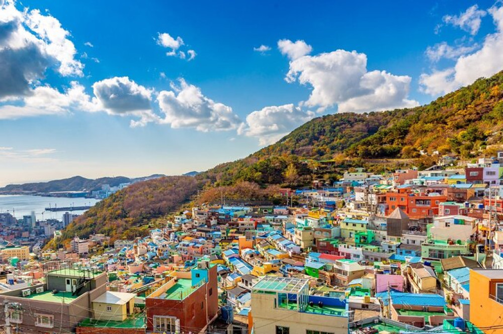 Busan Private and Custom Tour City Highlights and Hidden Gems - Busan ...