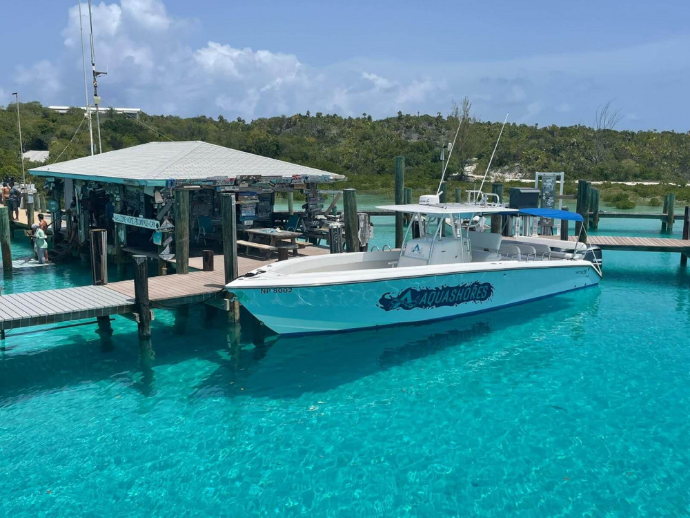Famous Exuma Swimming Pigs at Big Major Cay, Sharks & Iguanas - Nassau ...