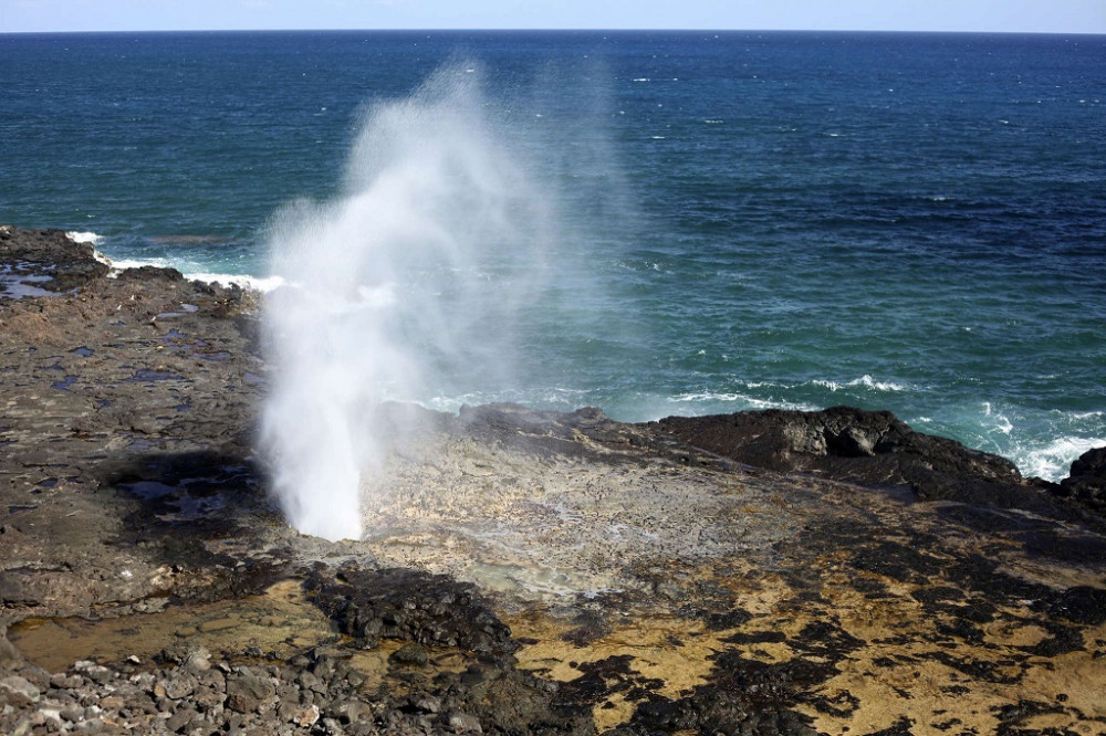 Hidden Gems of Oahu with Byodo In Temple & Turtle Spotting - Honolulu ...