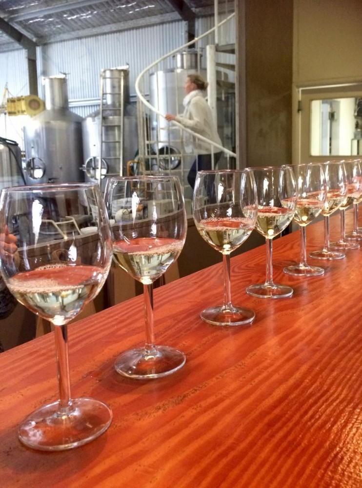 The Vino Bus | Project Expedition