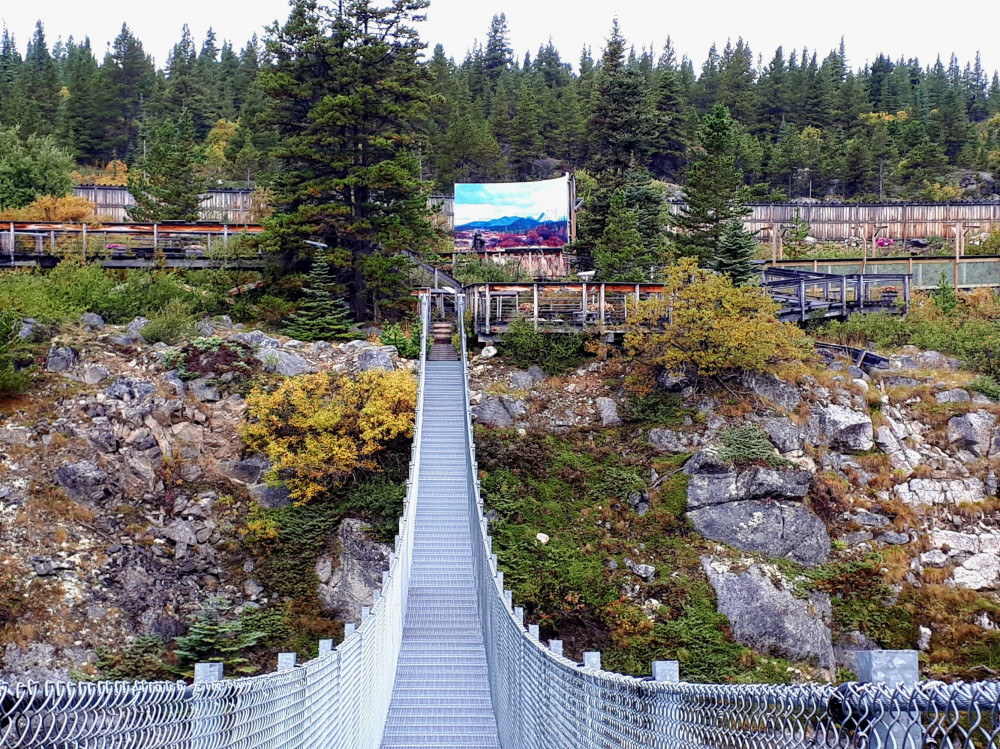 White Pass Summit Rail & Suspension Bridge Tour by Rail/Bus - Skagway ...