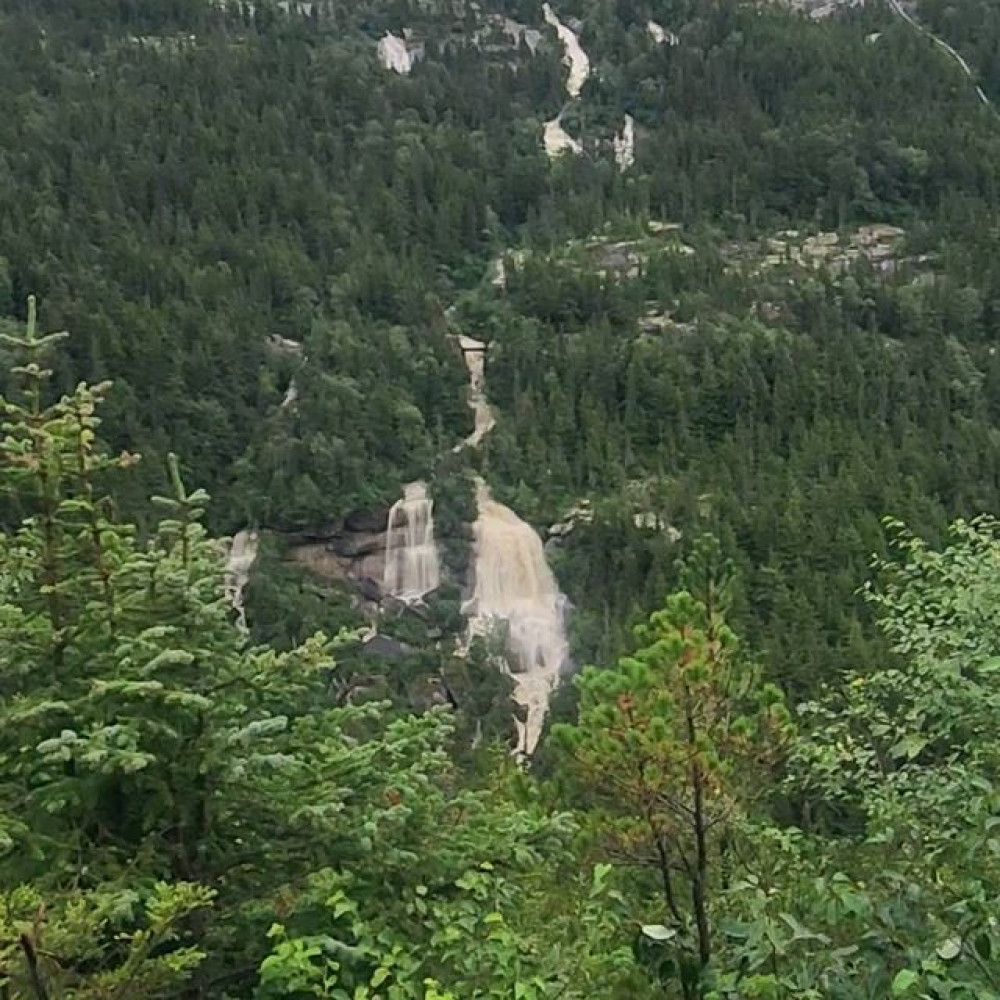 White Pass Summit Rail & Suspension Bridge Tour by Rail/Bus - Skagway ...