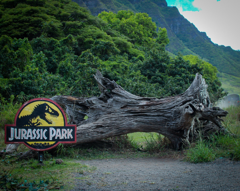 Jurassic Adventure Tour Honolulu Project Expedition