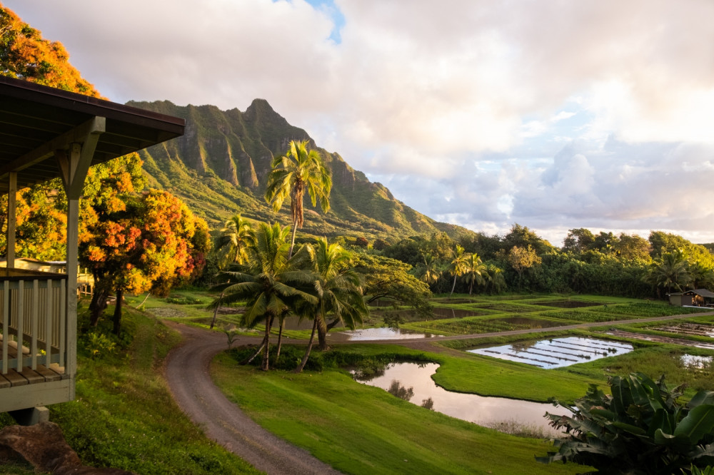 Kualoa Grown Tour - Honolulu | Project Expedition