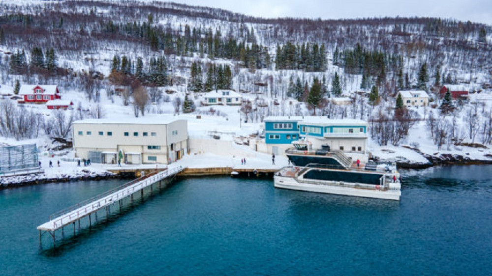 Arctic Fjord Cruise from Tromsø - Tromso | Project Expedition