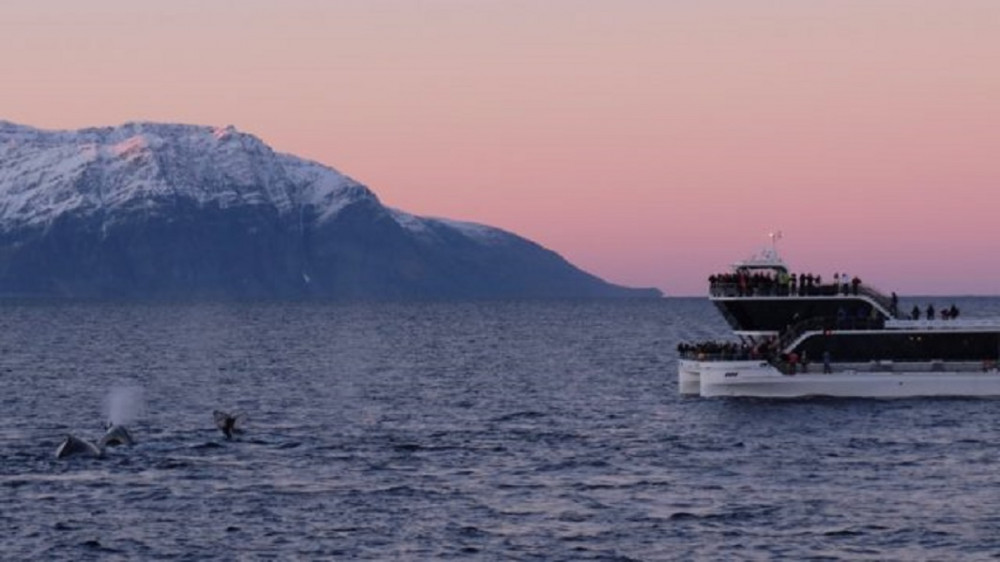 Brim Explorer - Project Expedition