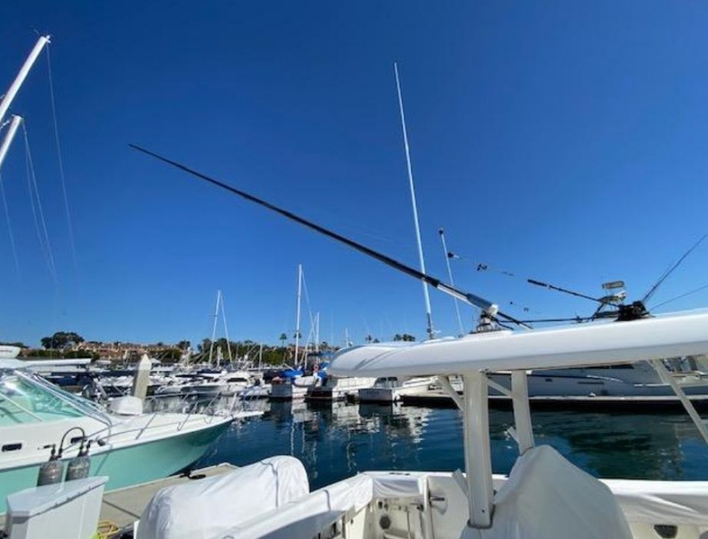 Private Whale Watch Charter from Kawaihae Harbor - Kawaihae | Project ...