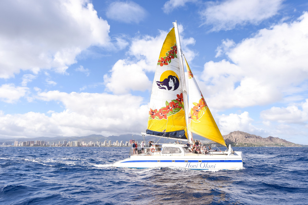 Honokohau Harbor: Whale Watch Sail On Honi Olani - Kailua-Kona ...