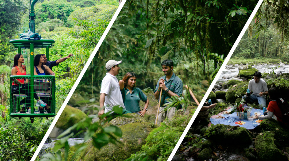 5-In-1 Pass: Rainforest Park Jacó Extreme Adventure - Jaco | Project ...