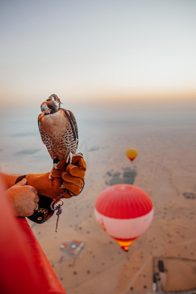 Hot Air Balloon Ride in the Iconic Dubai Desert with In-Flight Falcon ...