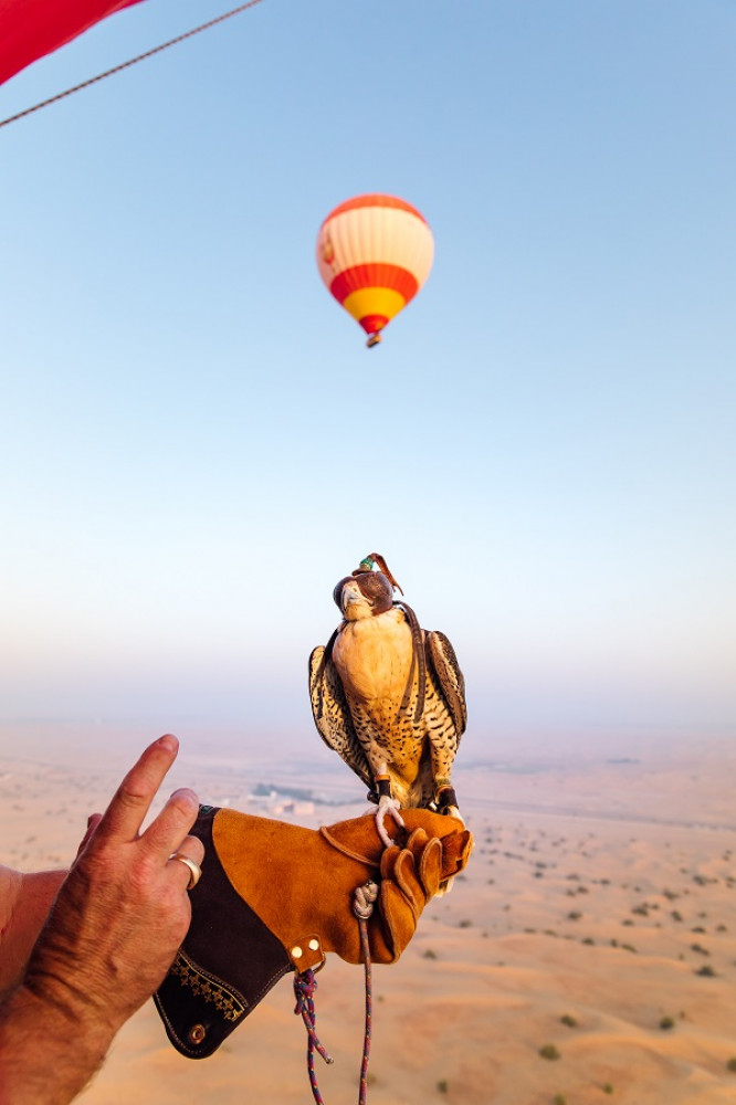 Hot Air Balloon Ride in the Iconic Dubai Desert with In-Flight Falcon ...