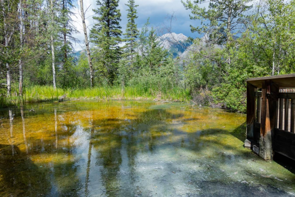 Banff's Cave and Basin Self-Guided Audio Private Walking Tour - Banff ...