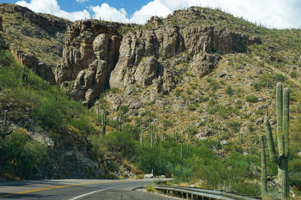 Mount Lemmon Scenic Byway Self-Guided Driving Audio Tour - Tucson ...