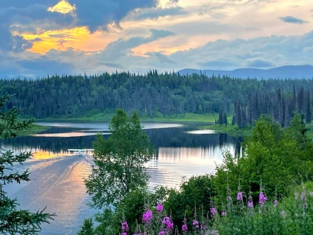Alaska Highlights Tour - 13 Days - Anchorage | Project Expedition
