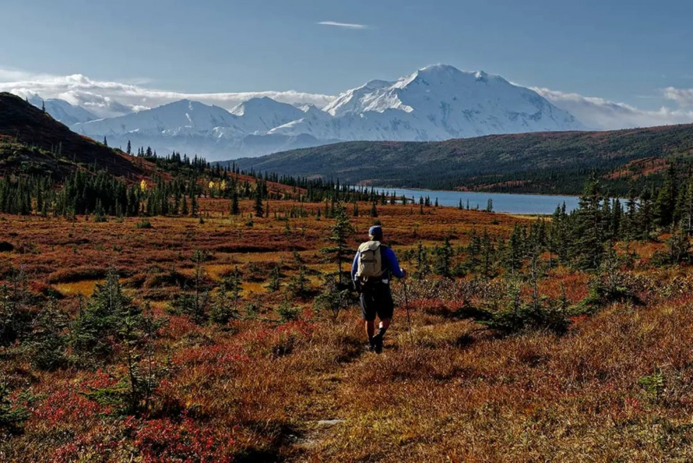 Alaska Discovery 8 Days | Journey into the Heart of Alaska - Anchorage ...