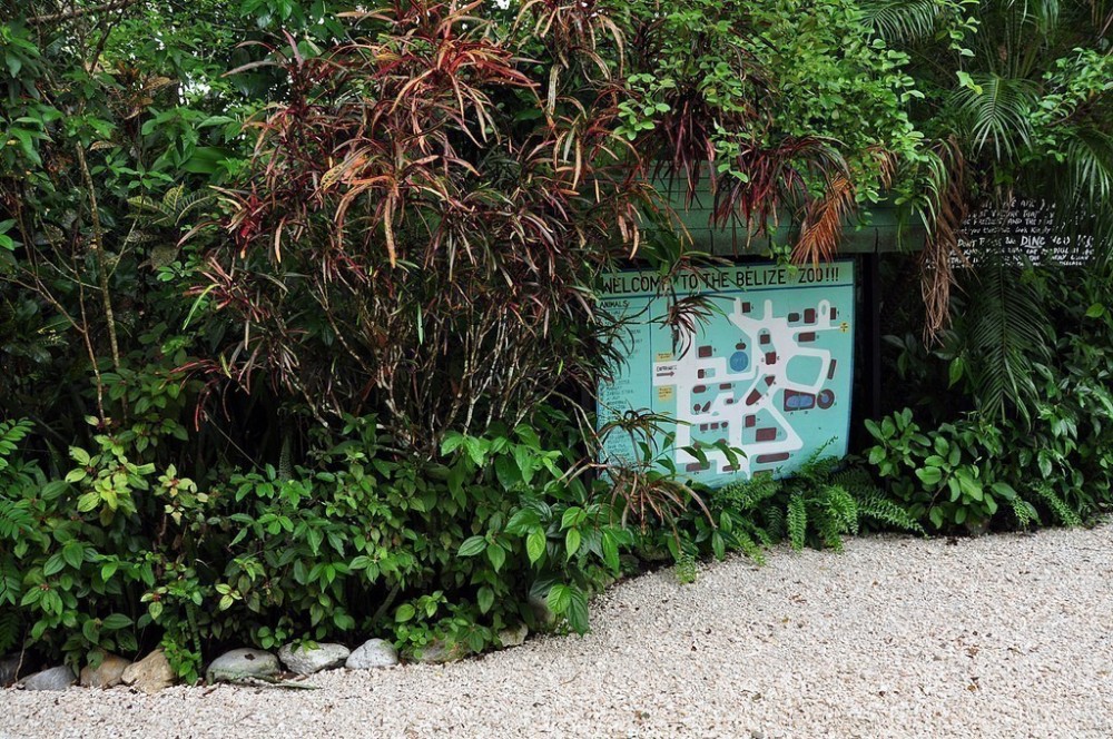 Belize Zoo | Sights & Attractions - Project Expedition