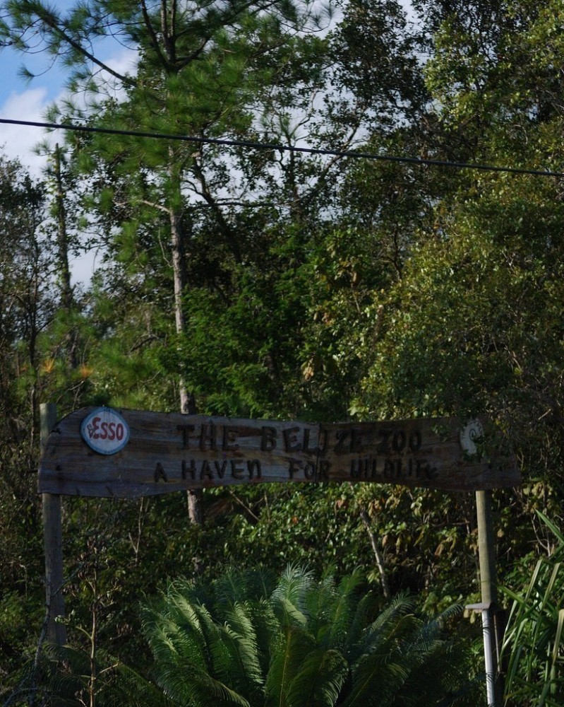 Belize Zoo | Sights & Attractions - Project Expedition