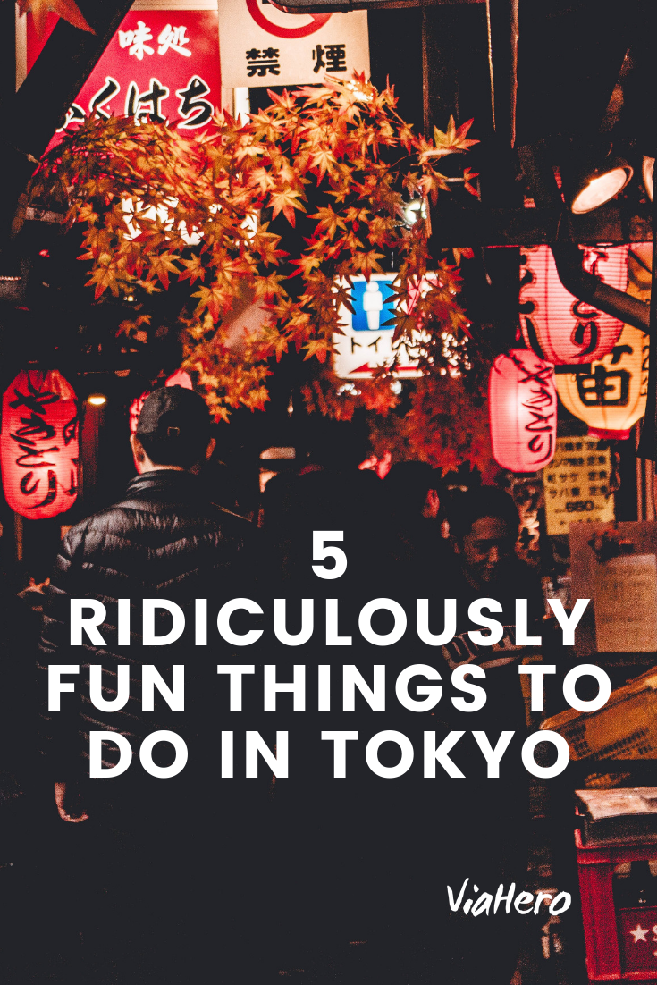 5 Ridiculously Fun Things to Do in Tokyo